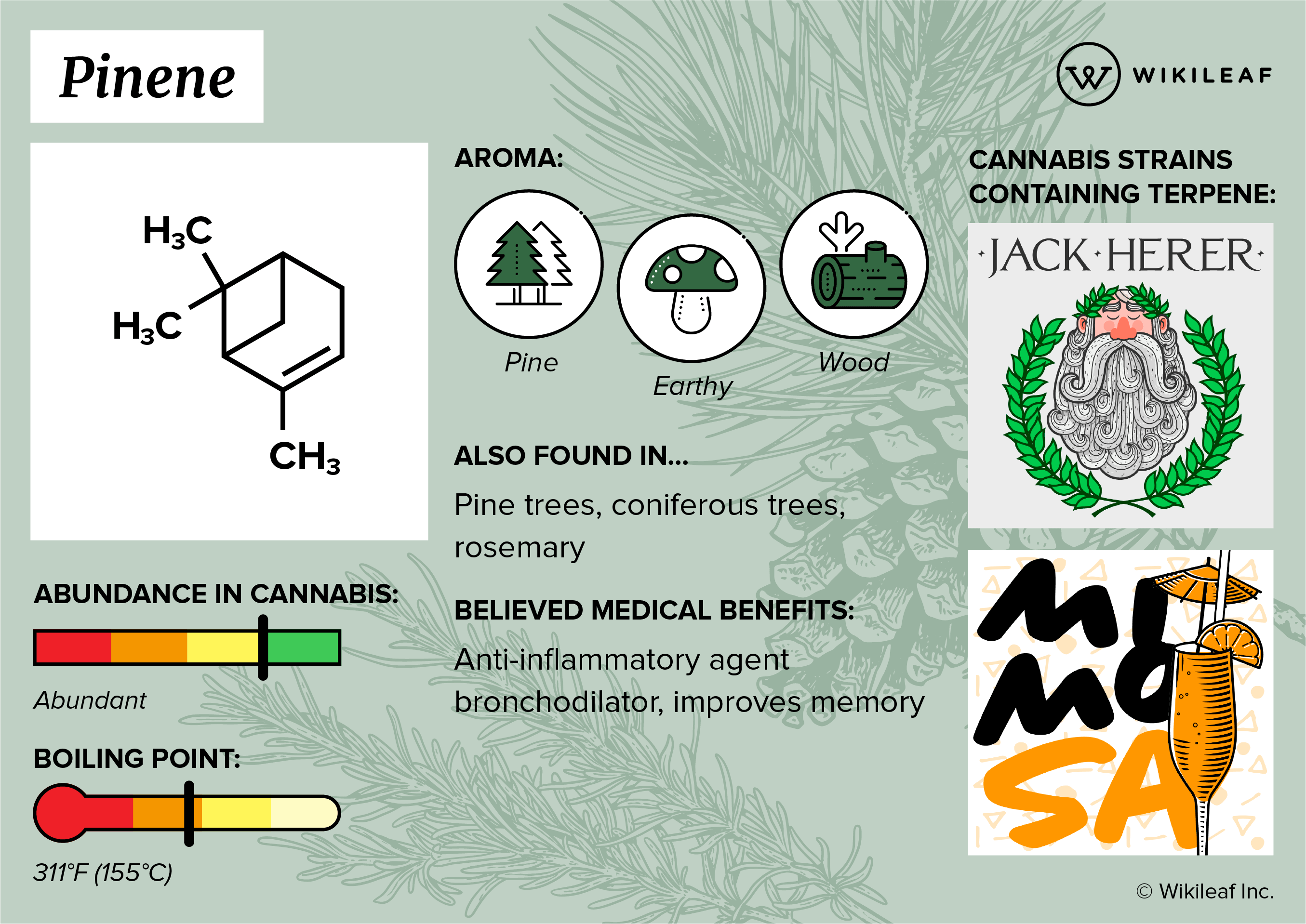 What are Terpenes? How They Affect Your High - Marketplace New York, US ...