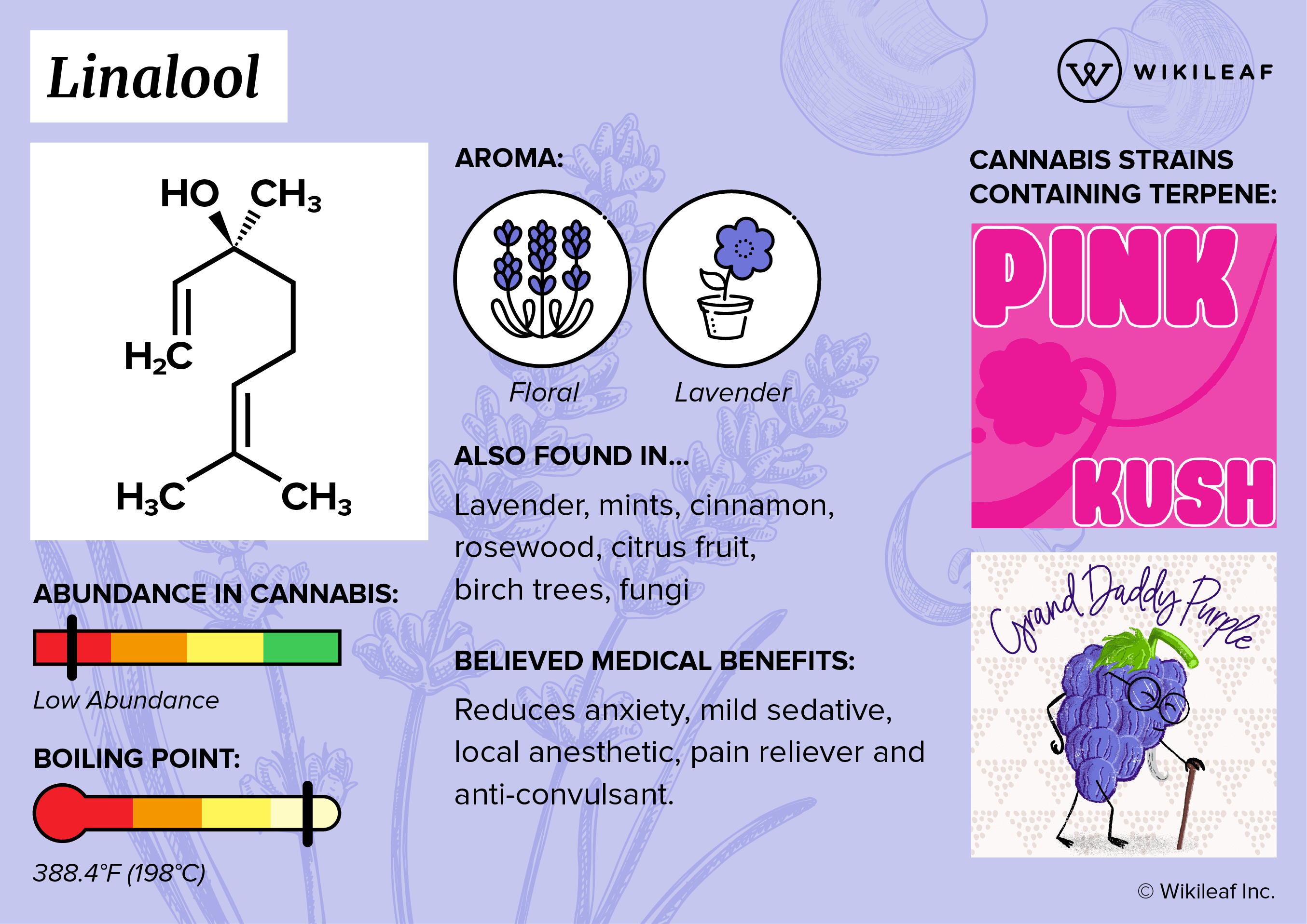 What are Terpenes? How They Affect Your High - Marketplace New York, US ...