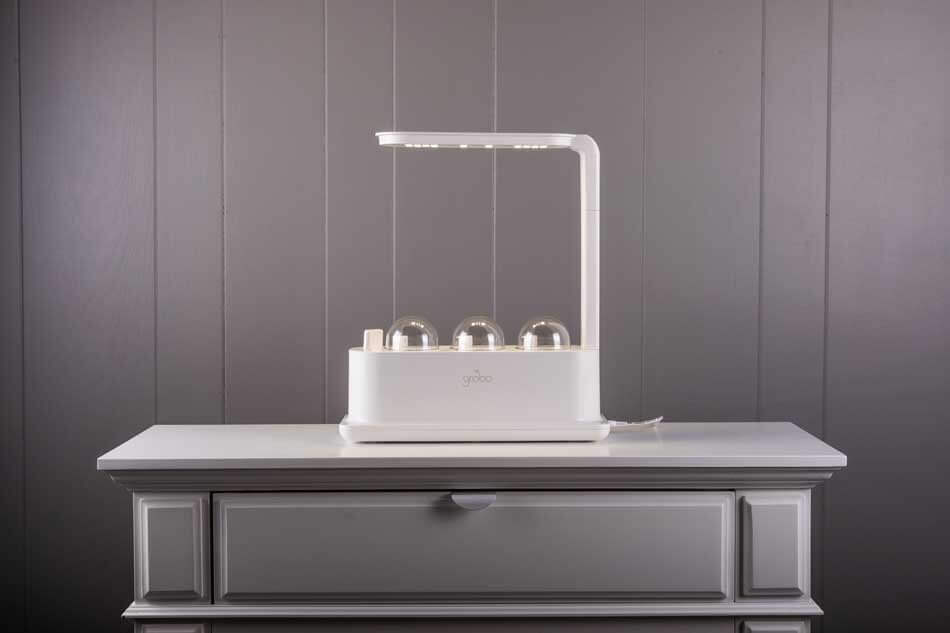 Meet Grobo, the Box that Grows Your Weed - Dispensary Delivery near me ...